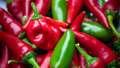 Naga Morich Chili | Chili-Plant.com
